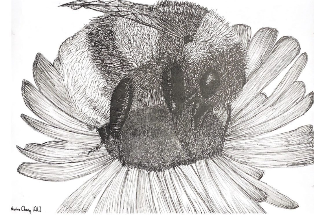 Bee inspired! Our Art Competition winner - Wimbledon High School