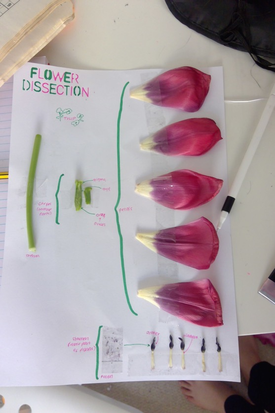Guided home learning reflections