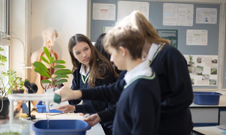 What role does the House system play in a modern school?